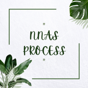 NNAS PROCESS WITH EXPEDITED SERVICE IN BRIEF 2024 - brandednurses